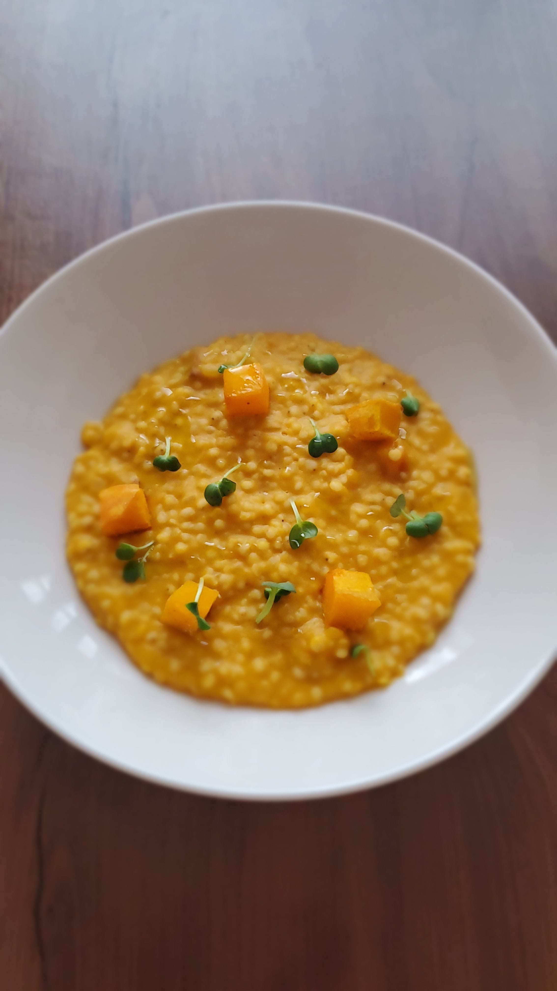 Introduction to Sorghum grains